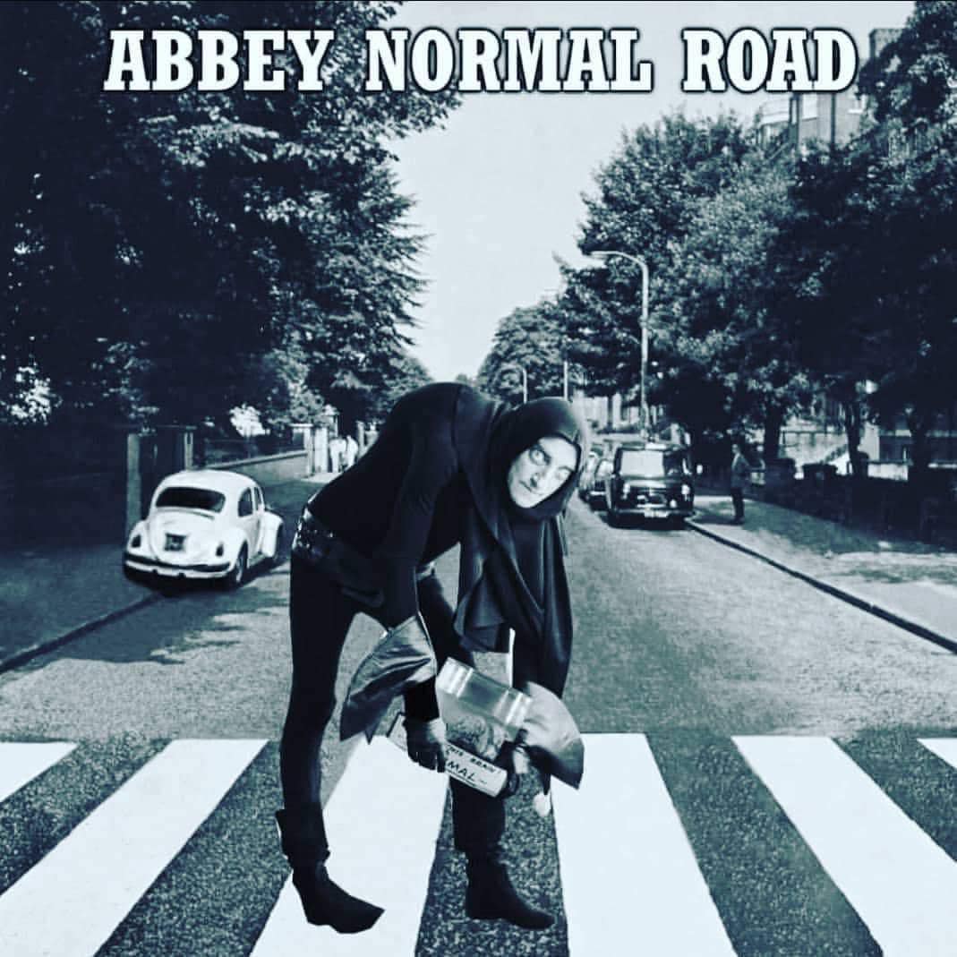 ABBY NORMAL ROAD - storminator
