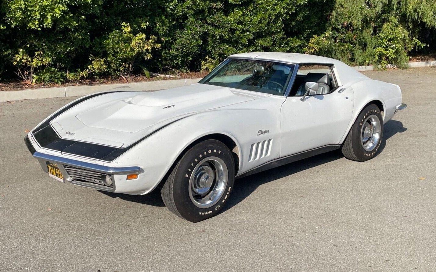 CORVETTE - storminator