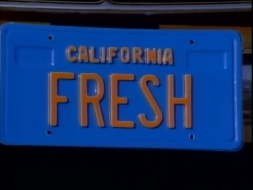 Fresh License Plate - MyConfinedSpace MyConfinedSpace