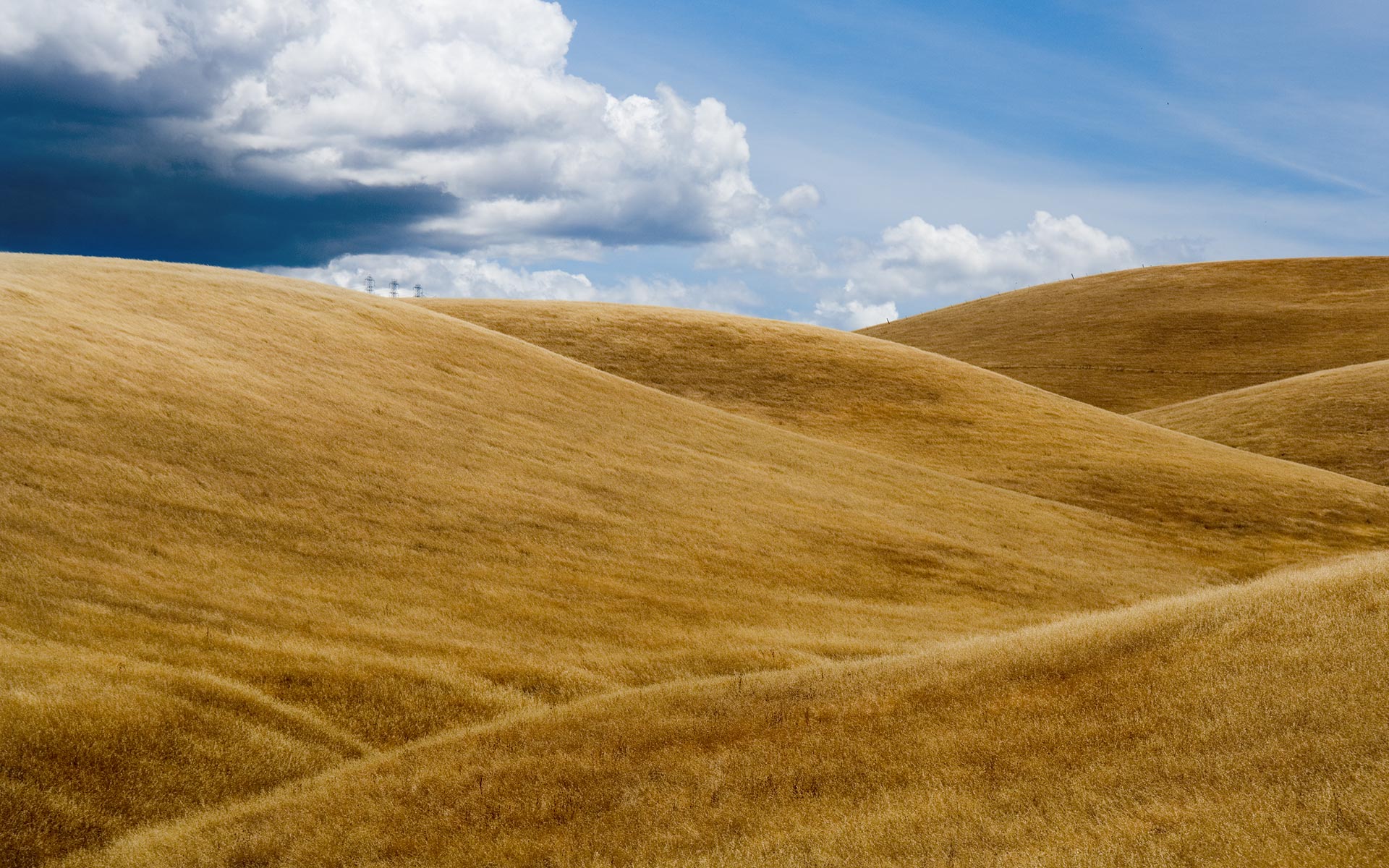 Amber Waves Of Grain Wallpaper - MyConfinedSpace