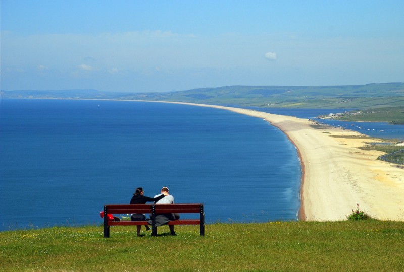 Scenic Beach Park Bench Wallpaper - MyConfinedSpace