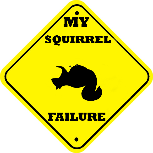 My Squirrel Failure - MyConfinedSpace