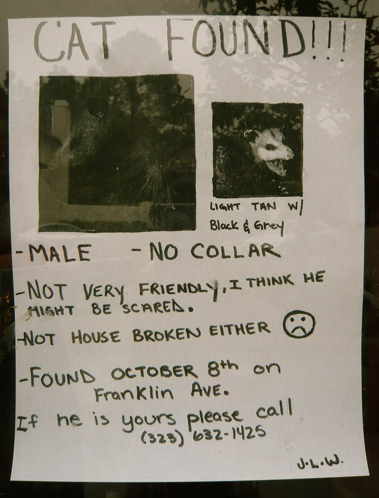 Found Cat - MyConfinedSpace