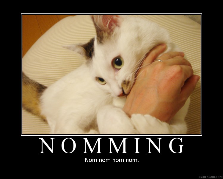 Nomming - Nom Nom Nom Nom - MyConfinedSpace