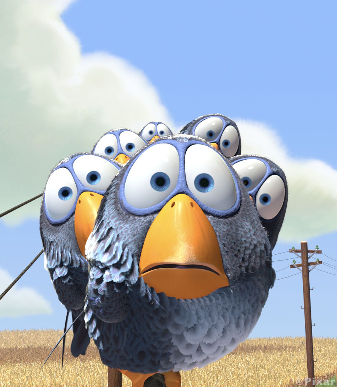 Pixar Birds - MyConfinedSpace
