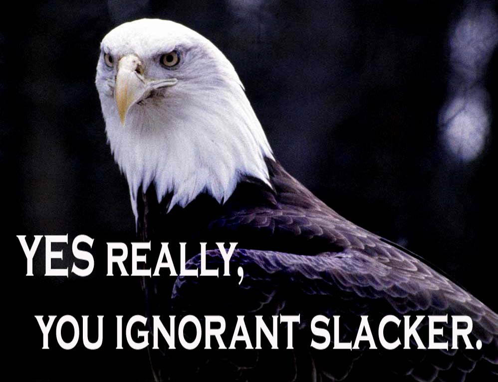 Yes Really, You Ignorant Slacker « MyConfinedSpace