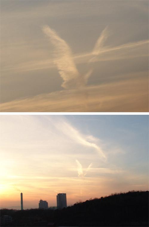 Photographic Proof of Angels - MyConfinedSpace