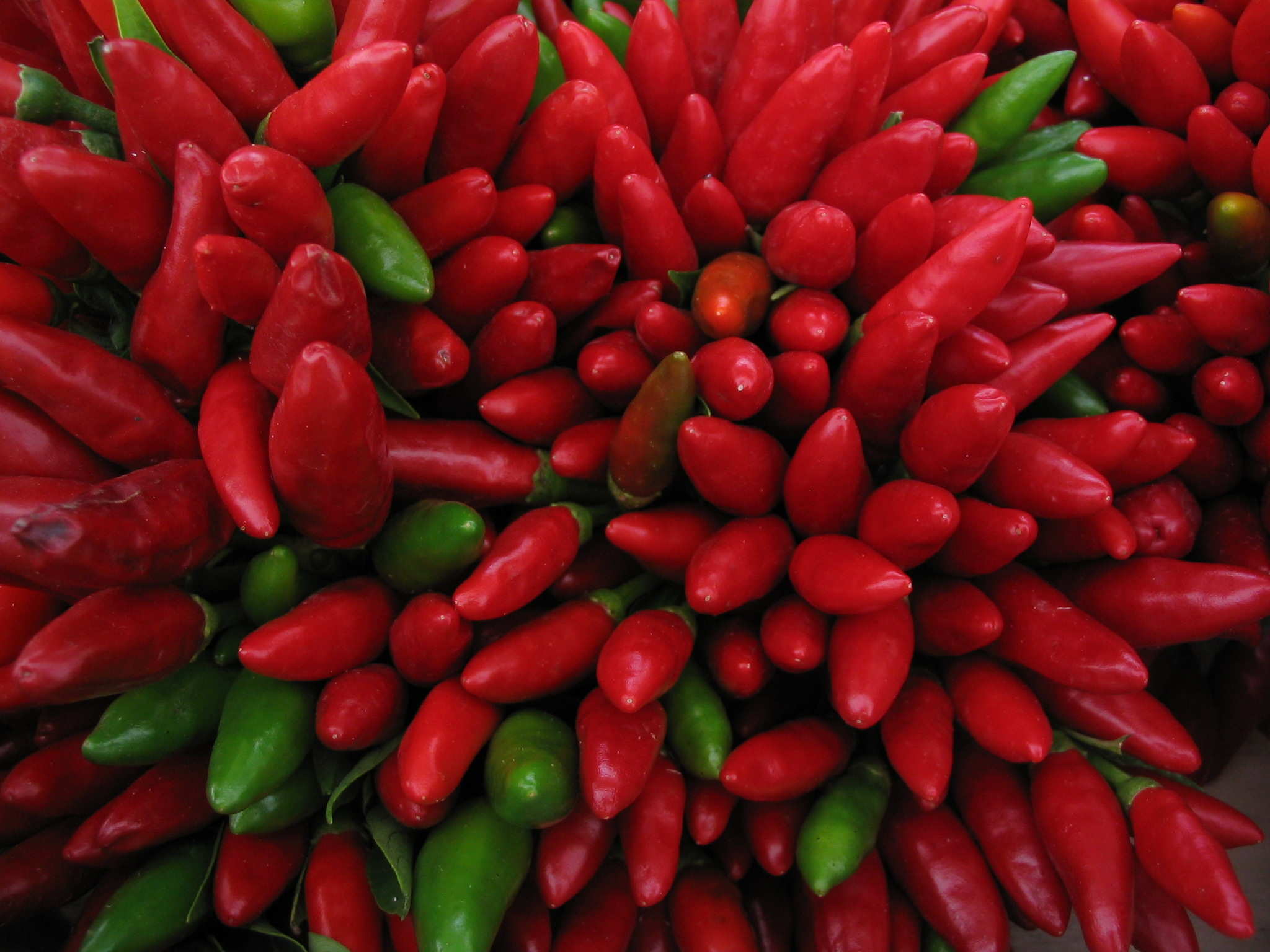 red hot peppers - MyConfinedSpace