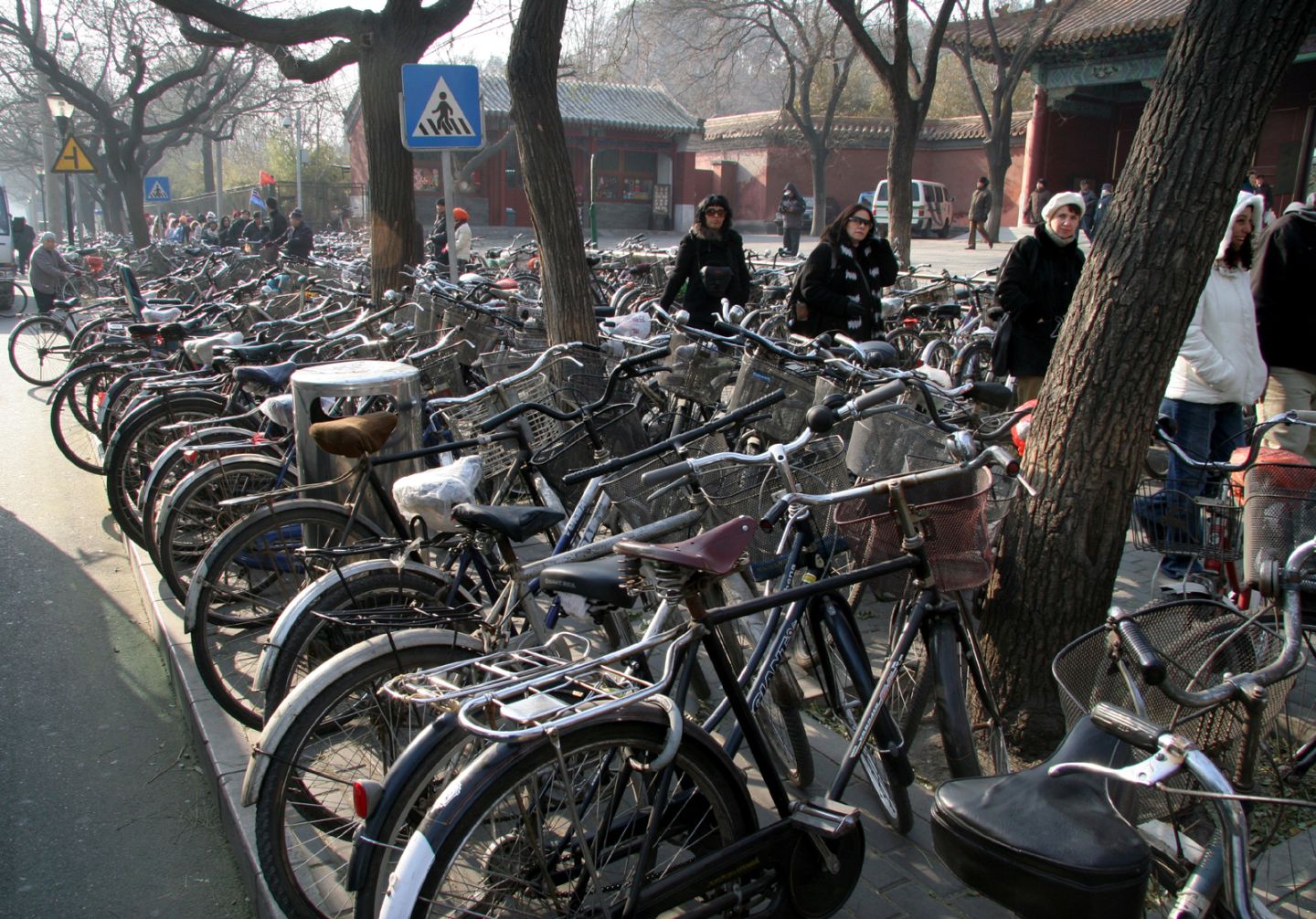 Crowded Bike Rack - MyConfinedSpace
