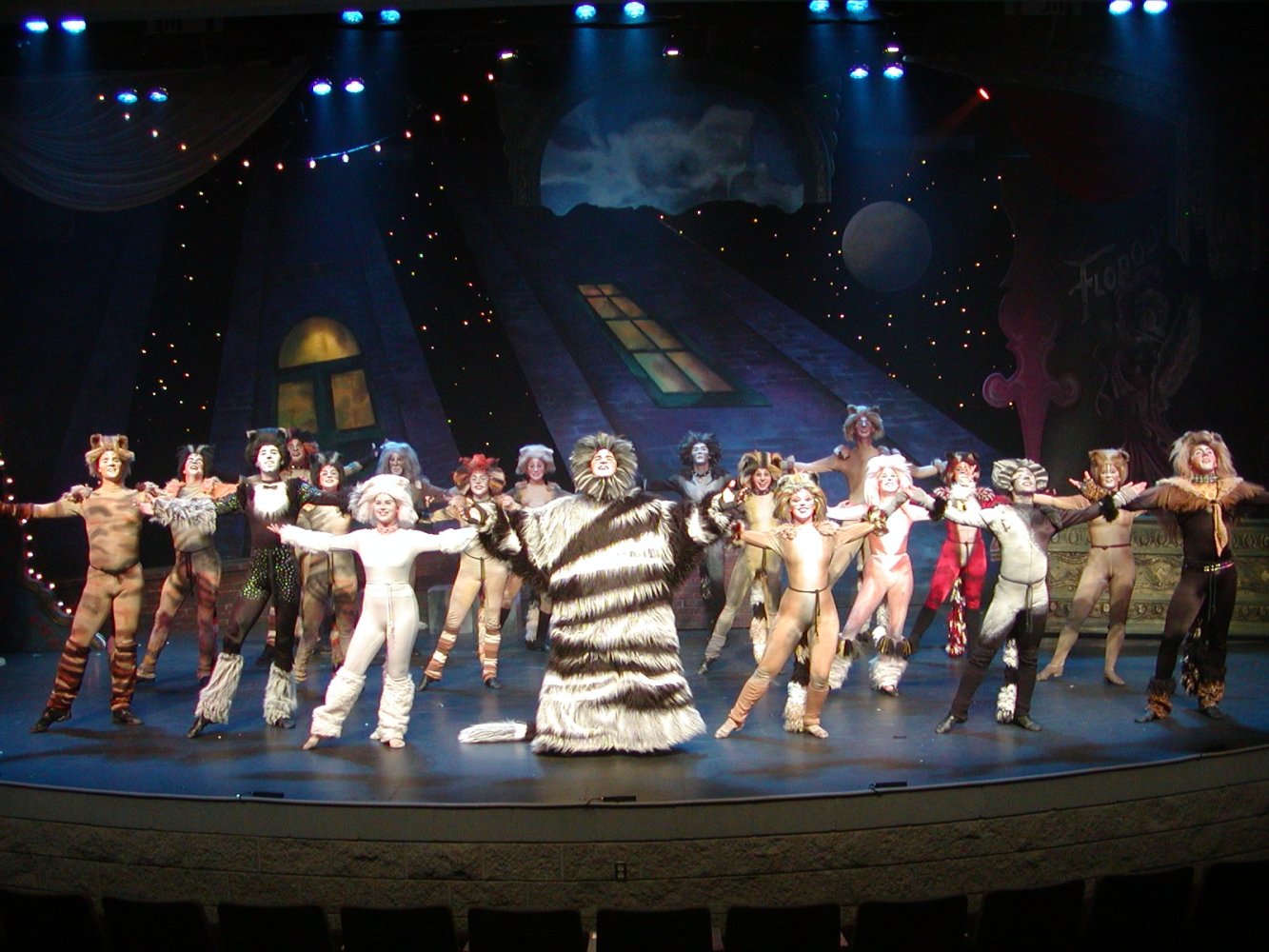 Cats On Stage - MyConfinedSpace