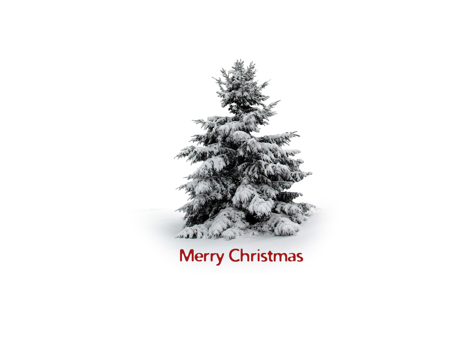 Merry christmas tree - MyConfinedSpace