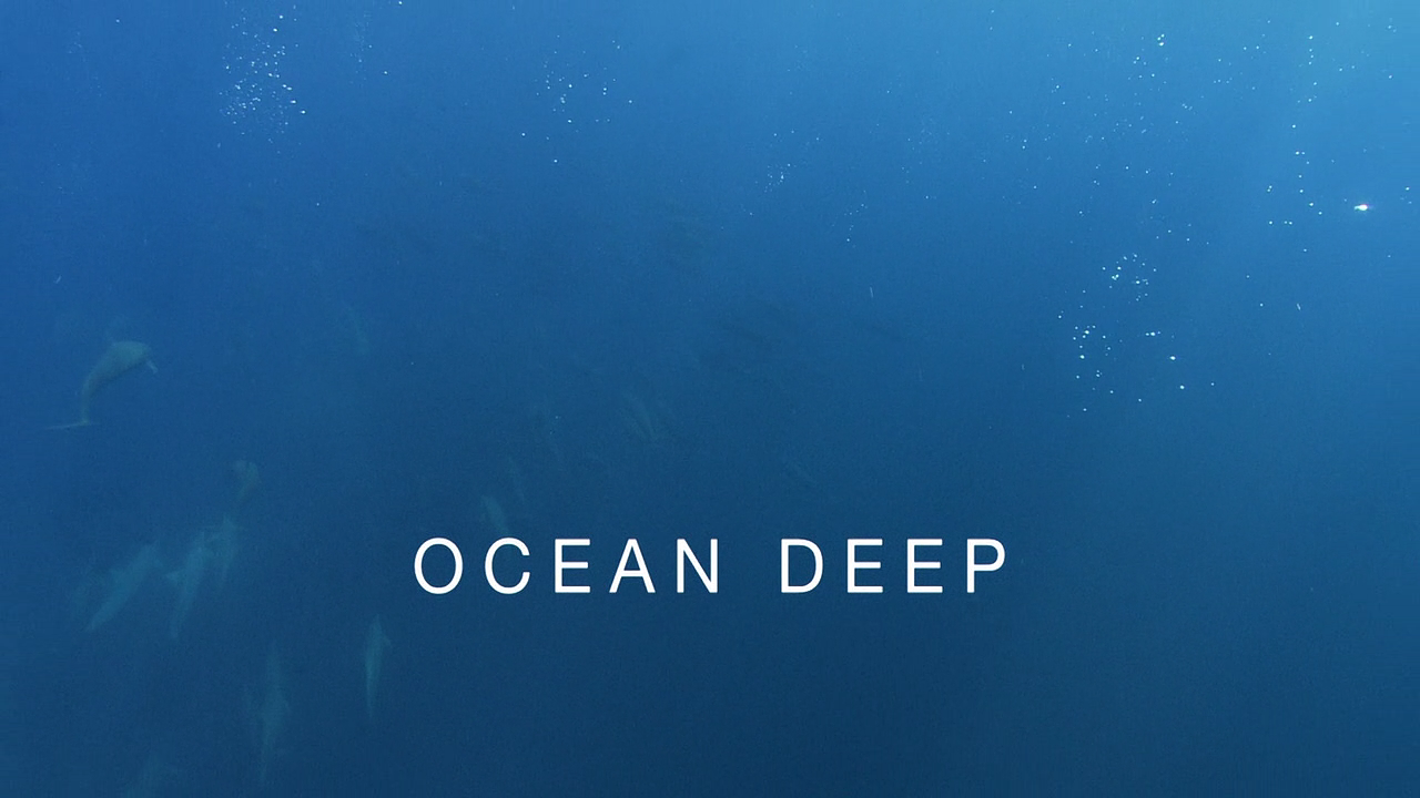 Planet Earth Bbc Ocean Deep