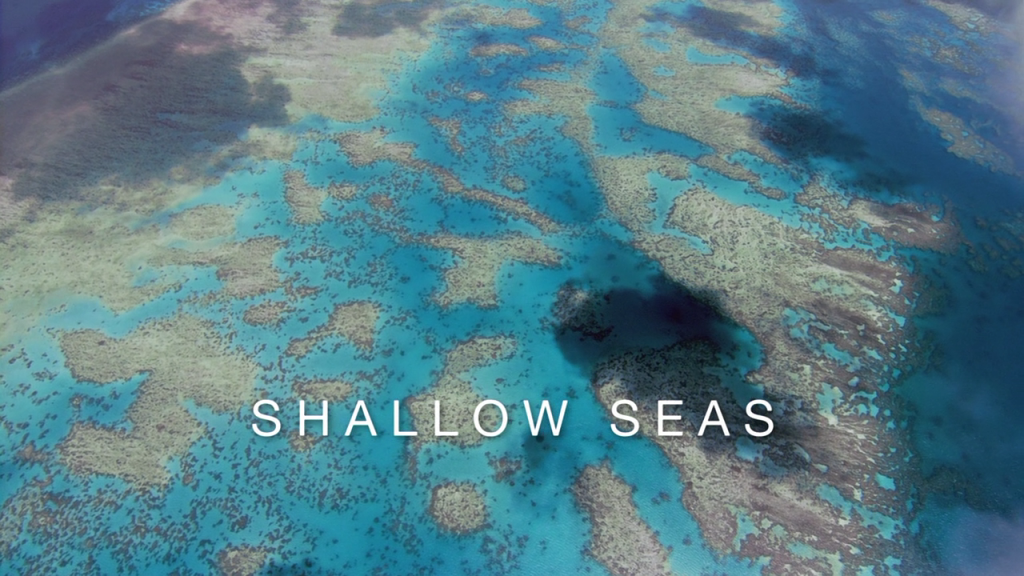 Planet Earth Title Cards - MyConfinedSpace