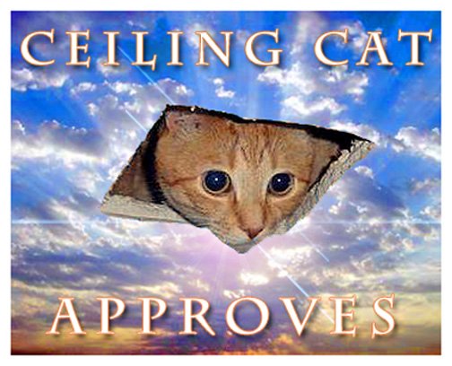 Ceiling cat approves - MyConfinedSpace