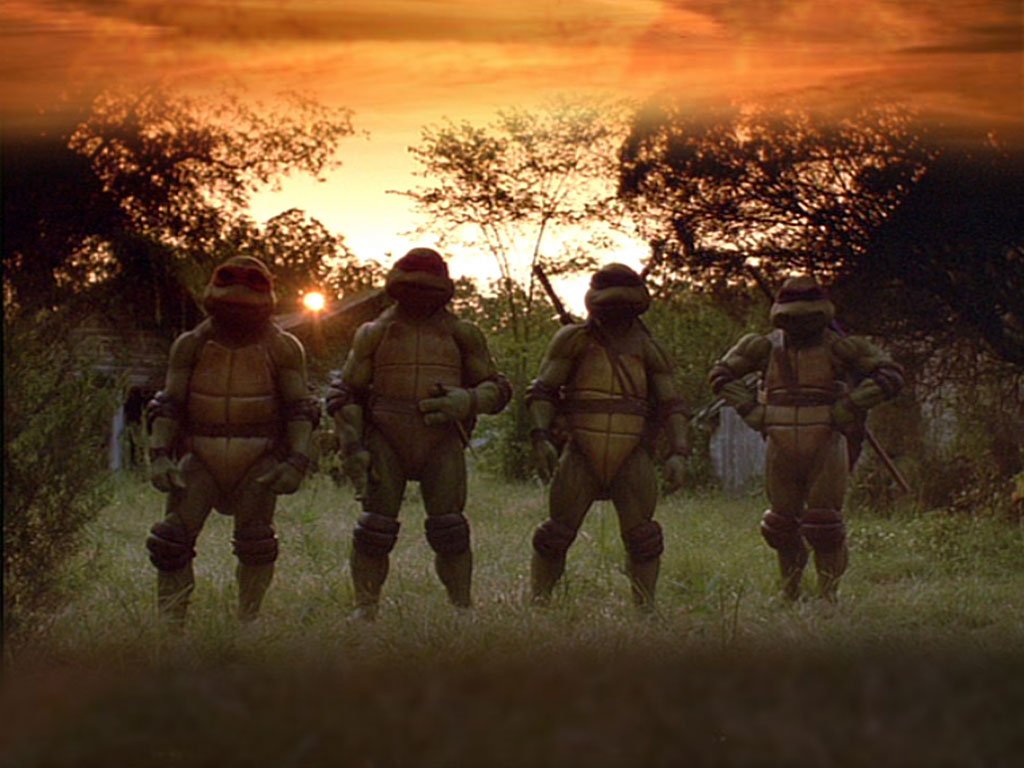 Teenage Mutant Ninja Turtles At Sunset - MyConfinedSpace