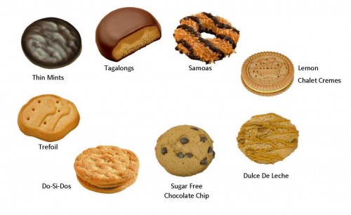 Girl Scout Cookie Descriptions - MyConfinedSpace