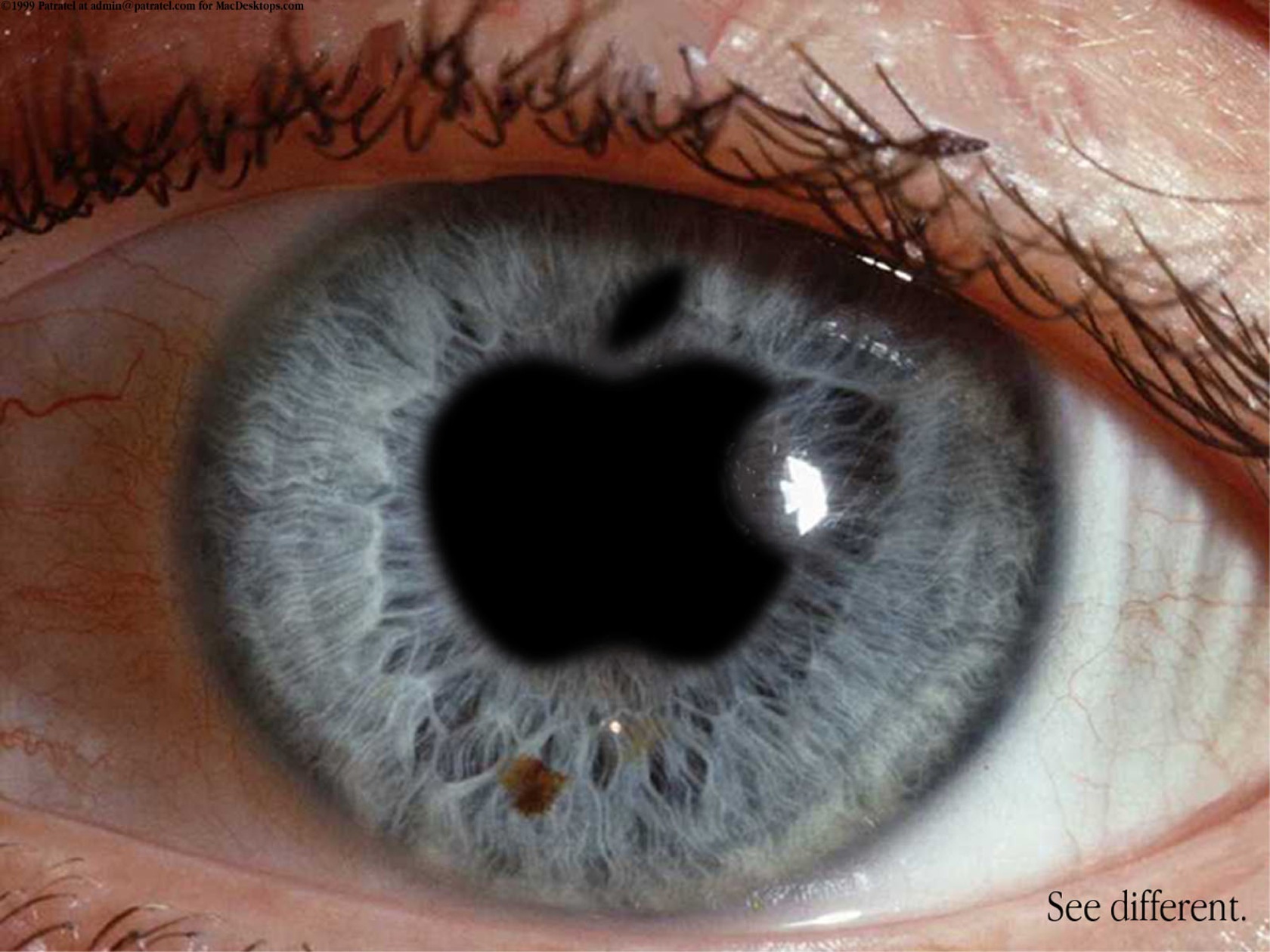 apple eye - MyConfinedSpace