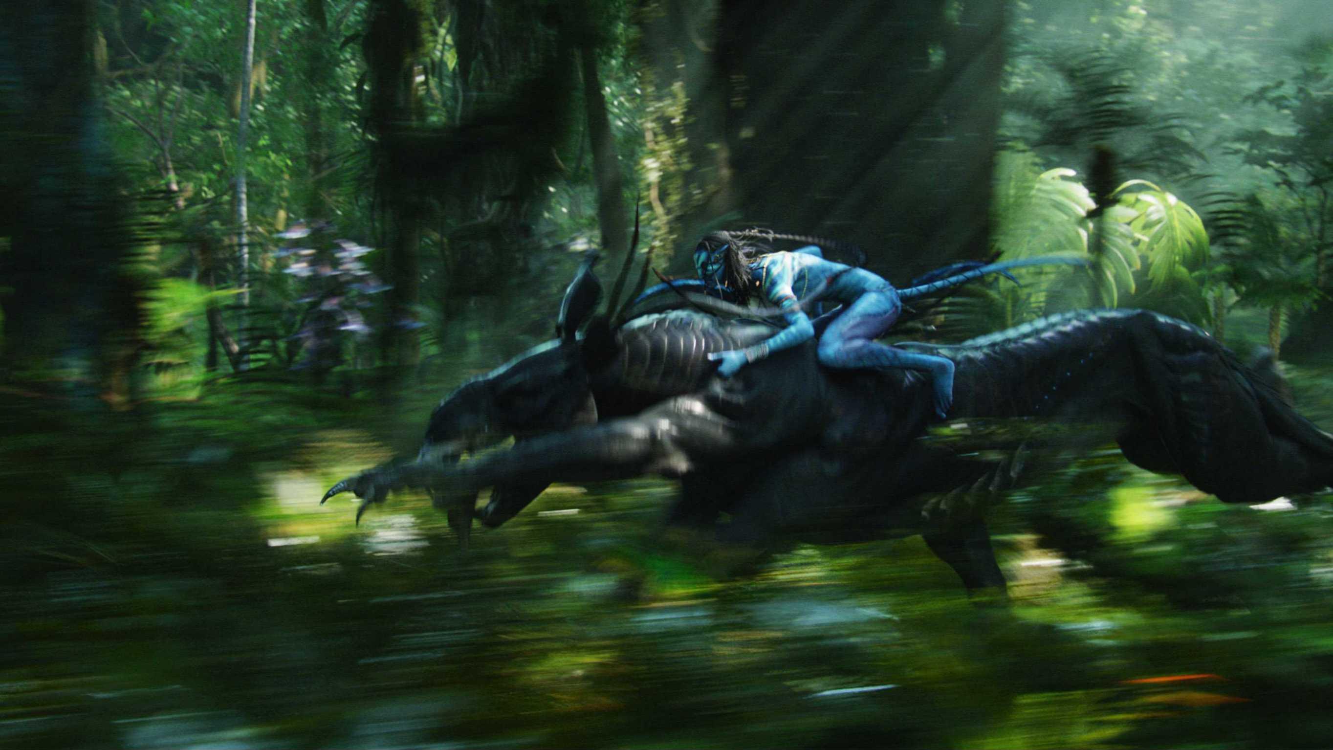avatar wallpaper - na’vi rider - MyConfinedSpace