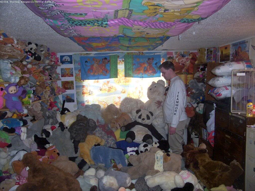 Stuffed Animal Room MyConfinedSpace