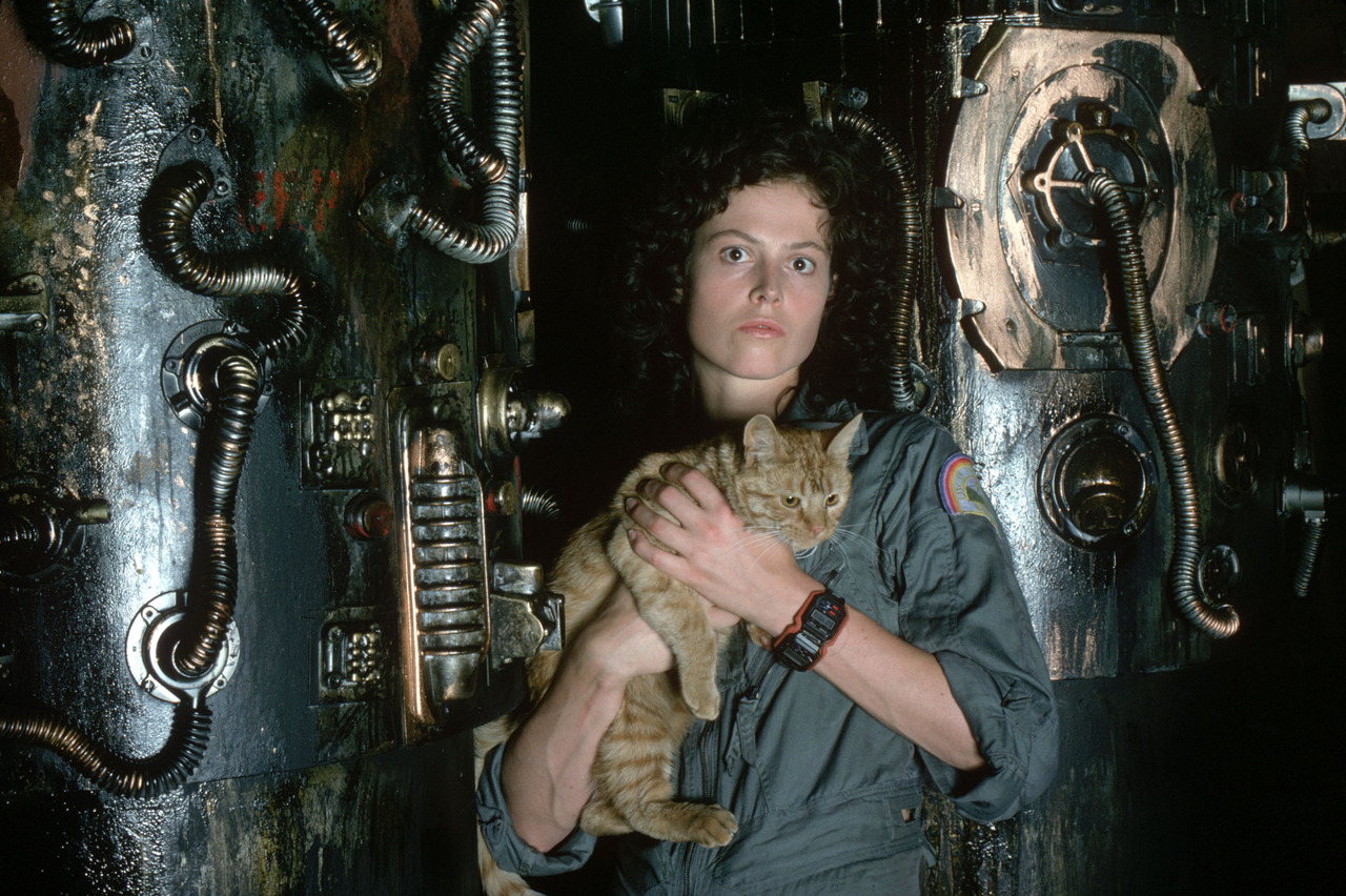 Ripley and Cat - MyConfinedSpace