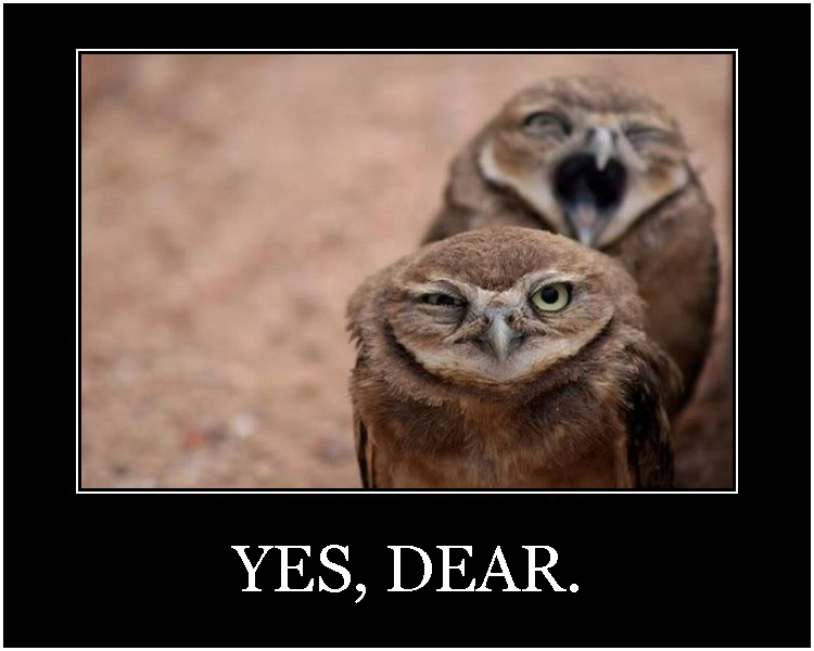 yes, dear - MyConfinedSpace