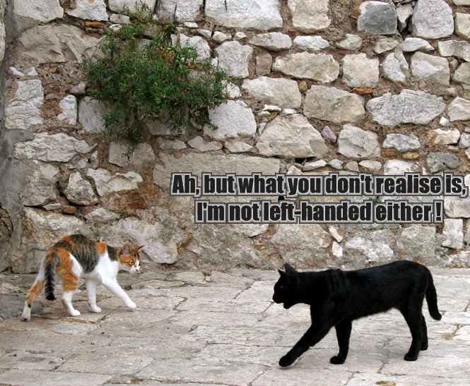 not left-handed either - MyConfinedSpace