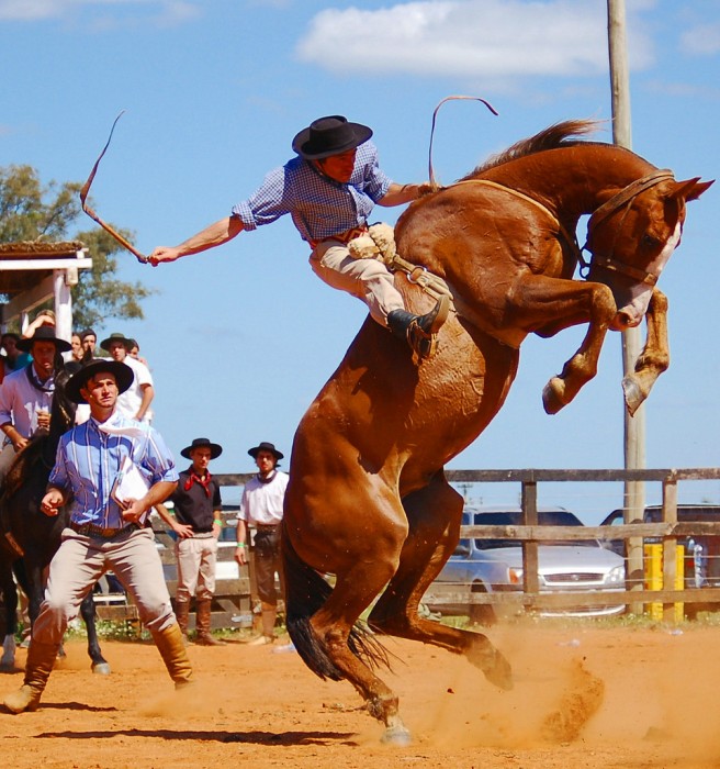 rodeo rider - MyConfinedSpace