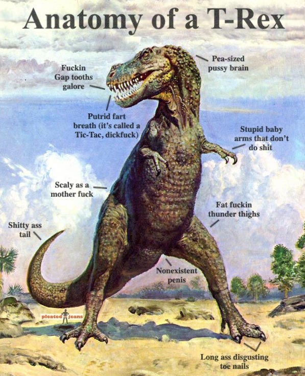 anatomy of a t-rex - MyConfinedSpace