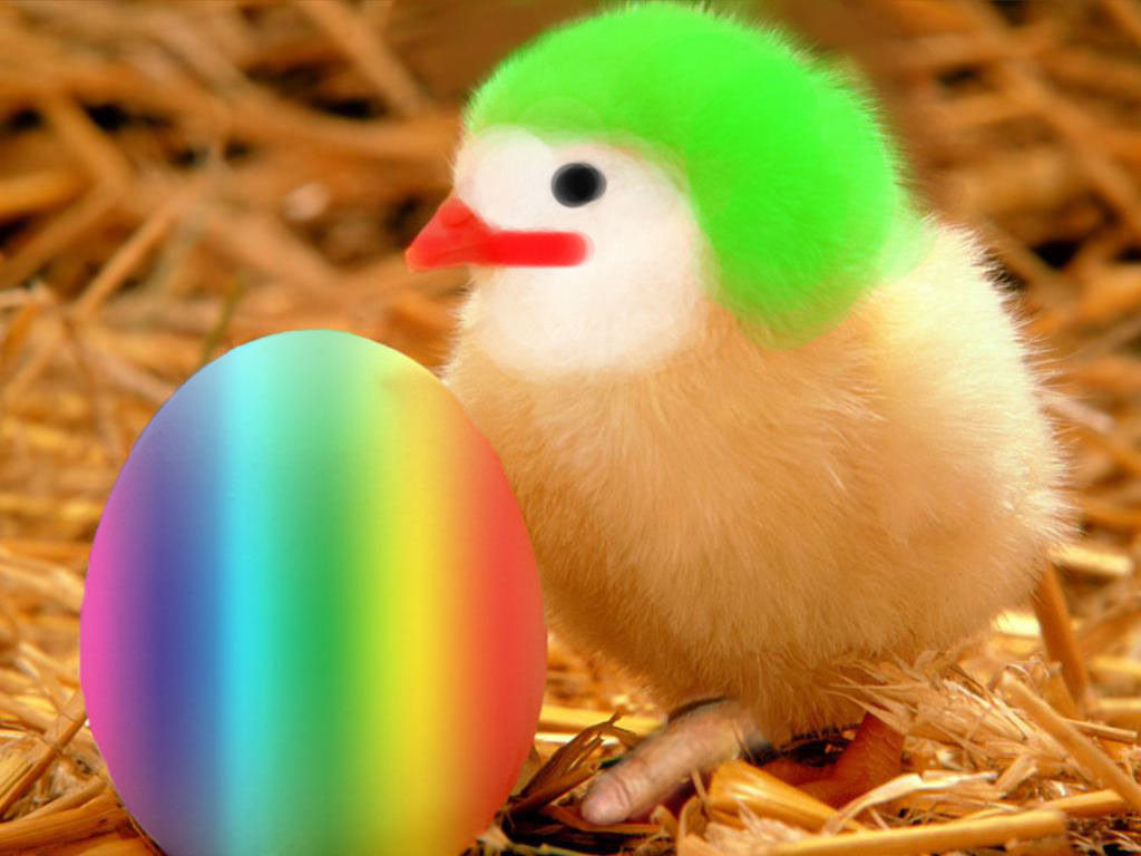 crazy easter chick - MyConfinedSpace