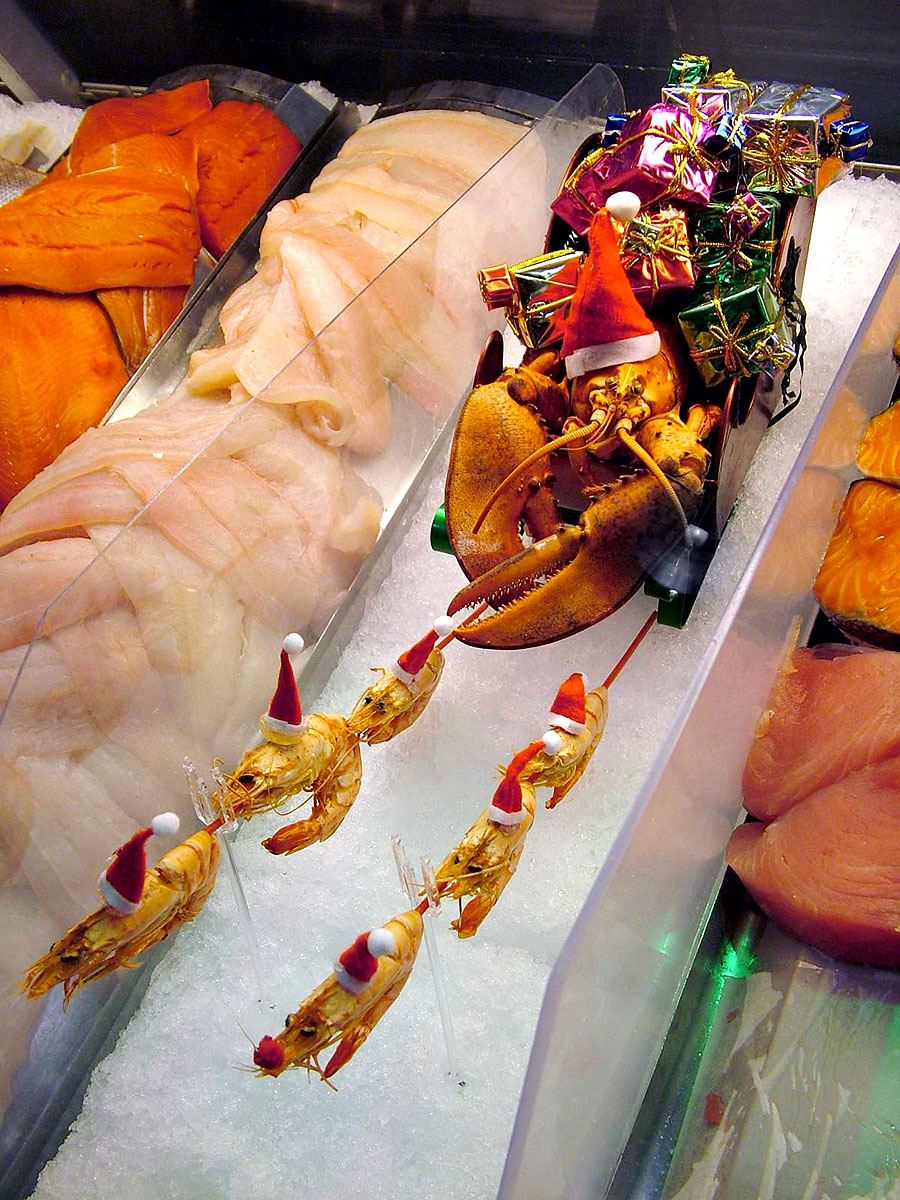 shrimp xmas - MyConfinedSpace