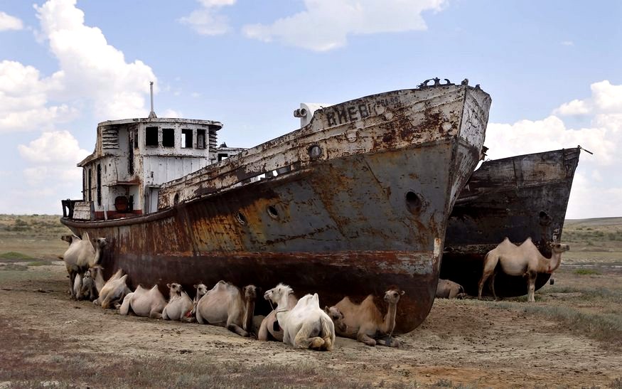 camel boats - MyConfinedSpace