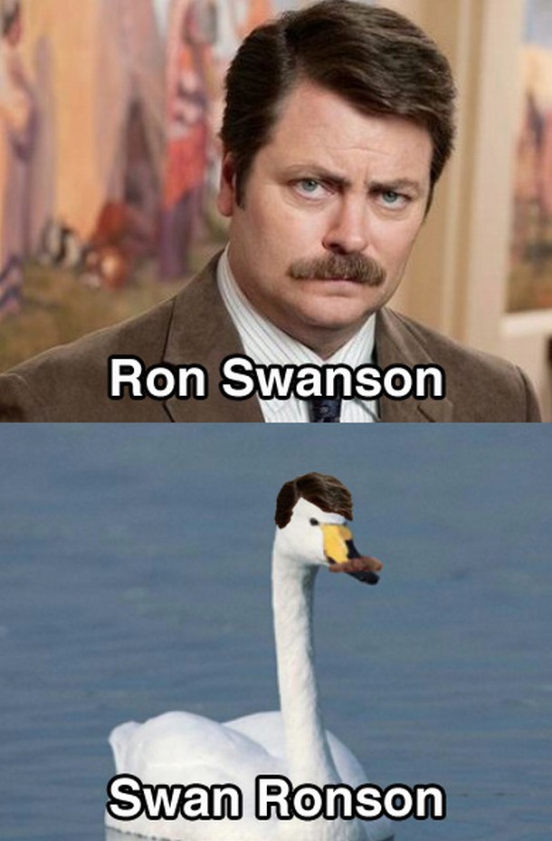 ron swanson vs swan ronson - MyConfinedSpace