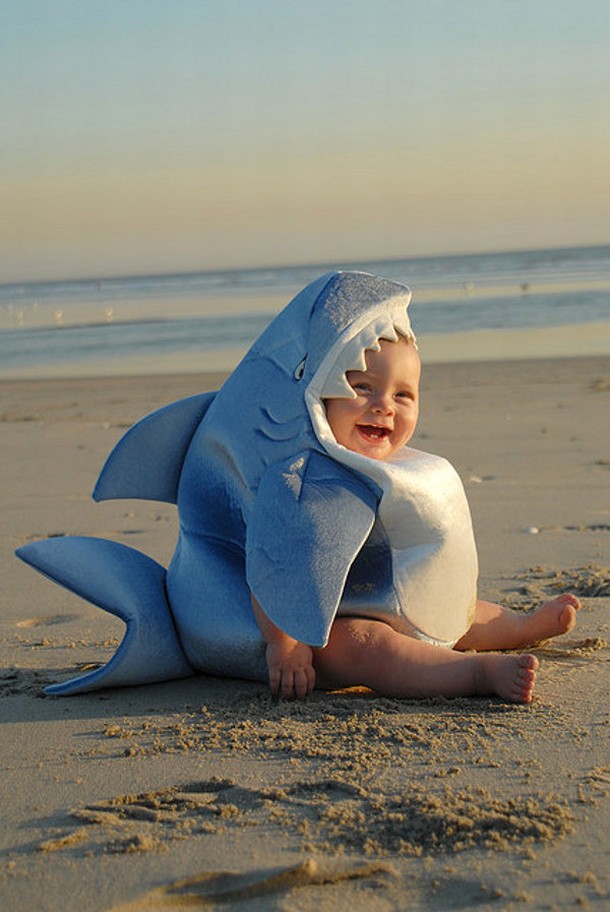 shark baby - MyConfinedSpace