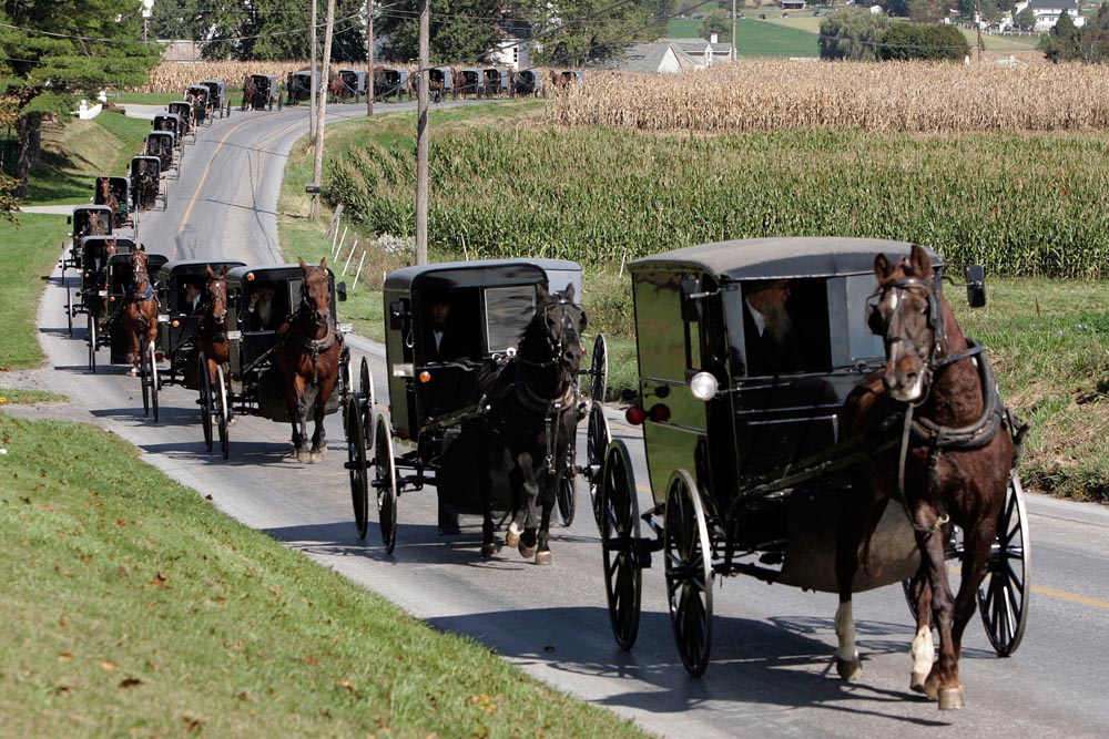 amish funeral - MyConfinedSpace