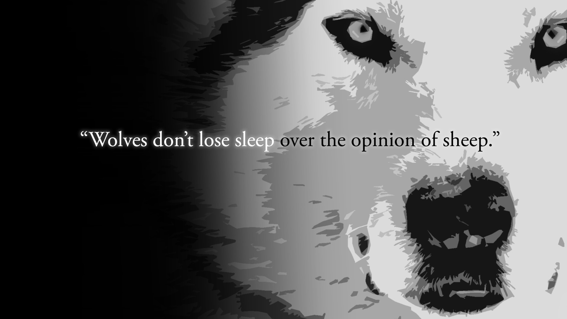 wolves dont lose sleep over the opinion of sheep | MyConfinedSpace