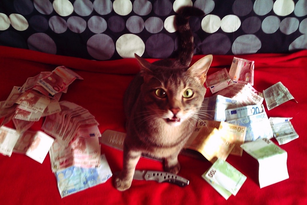 money cats - MyConfinedSpace