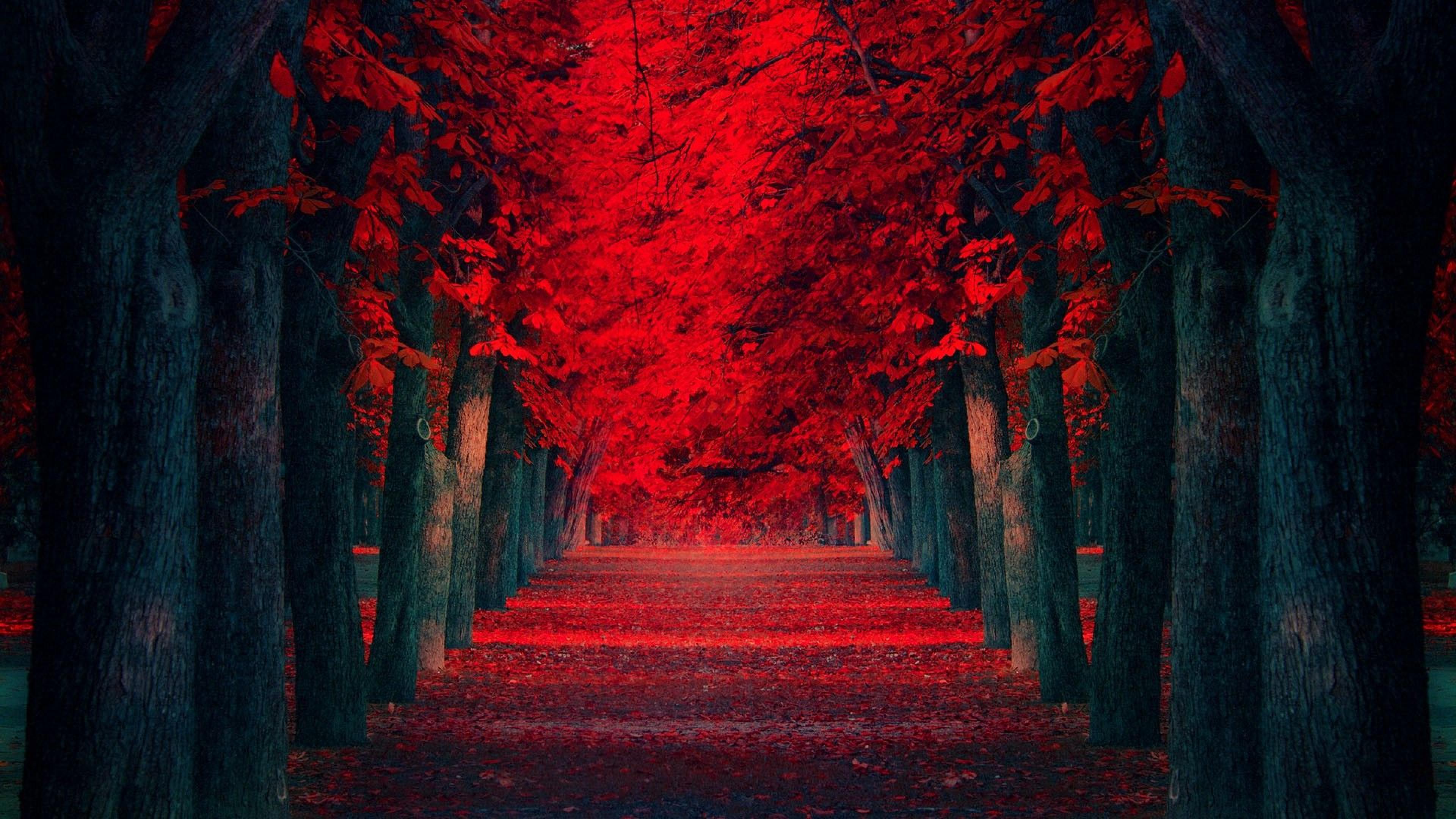 red path - MyConfinedSpace