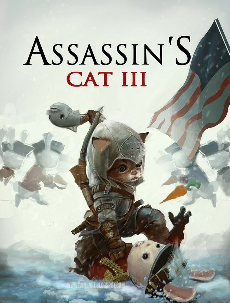 Assassins Cat III - MyConfinedSpace