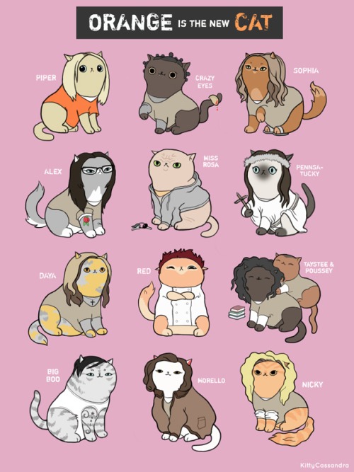 orange is the new cat - MyConfinedSpace