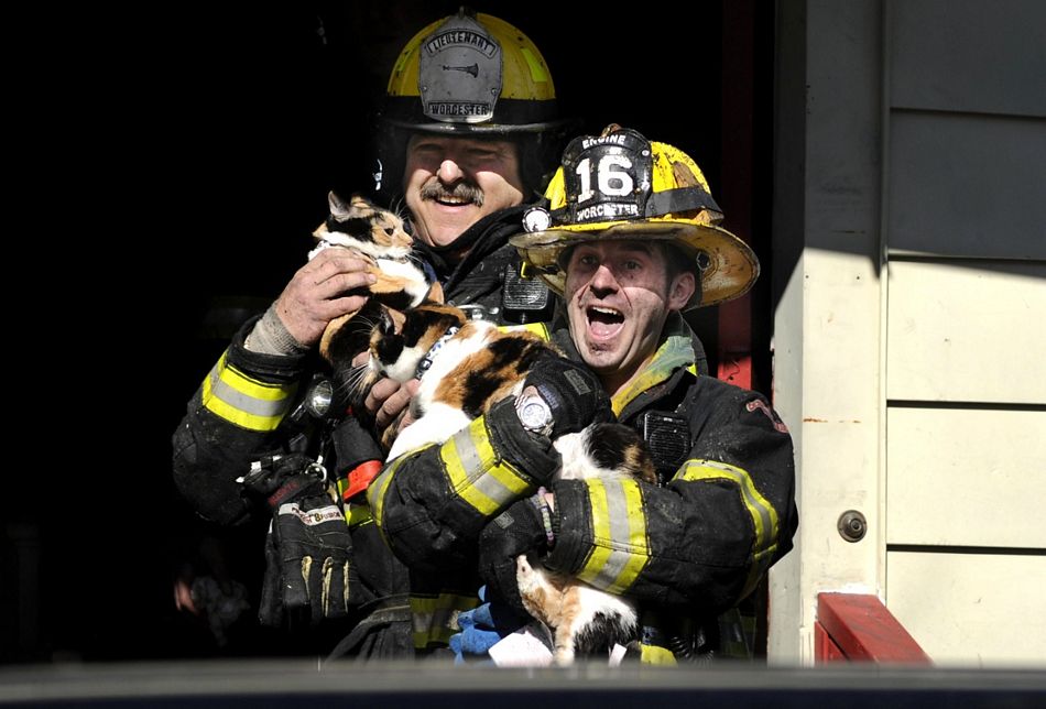 Cat Fire Rescue - MyConfinedSpace