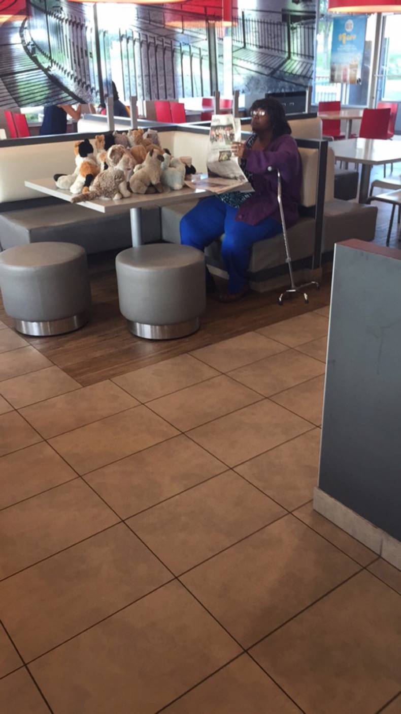 stuffed animal dinner « MyConfinedSpace