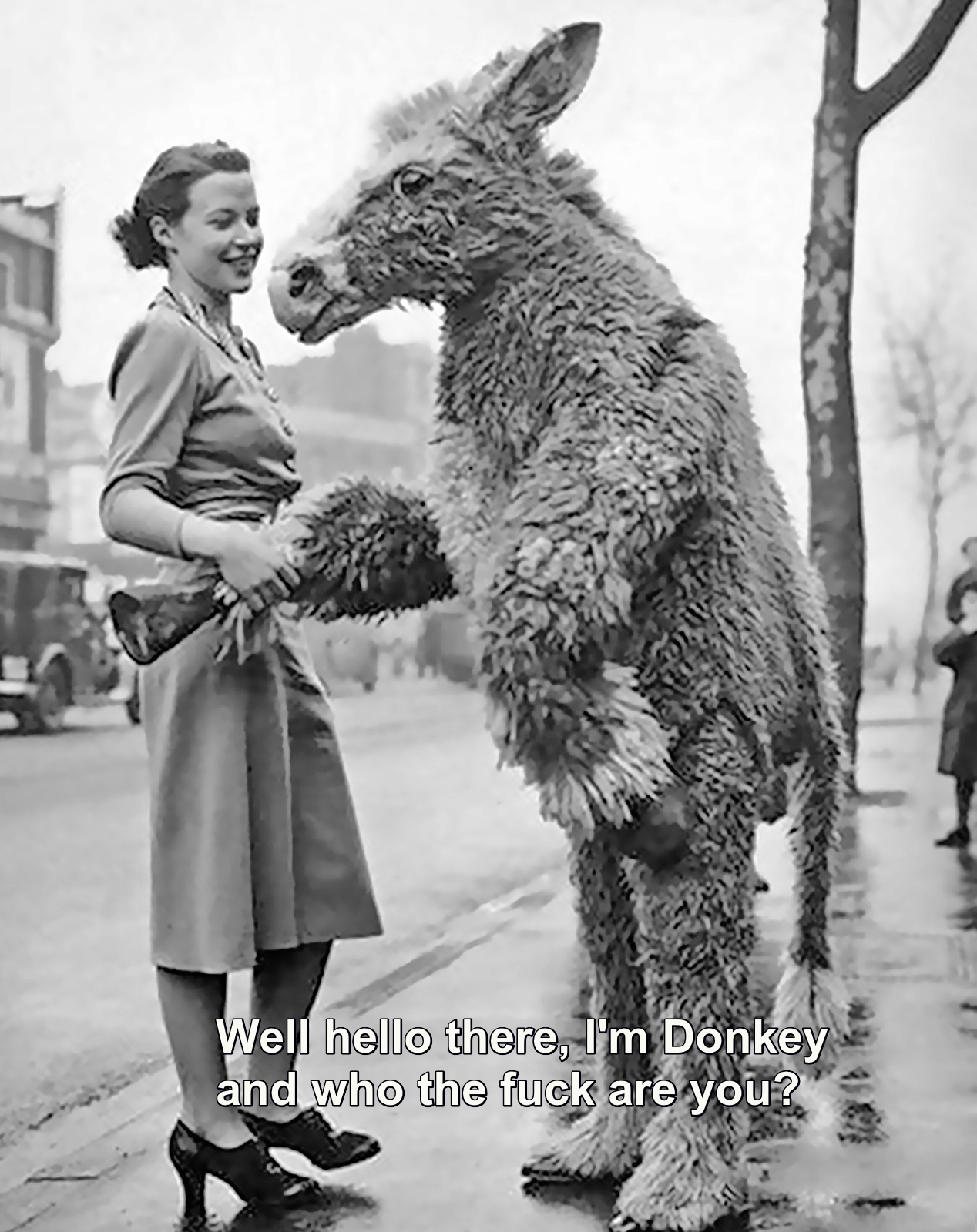 I’m Donkey - MyConfinedSpace