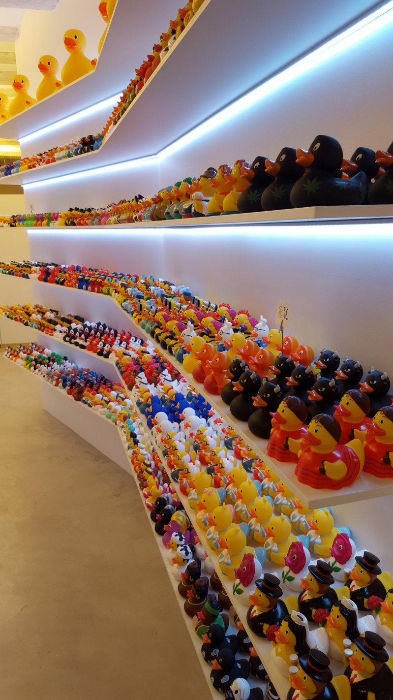A massive Duck Collection - MyConfinedSpace
