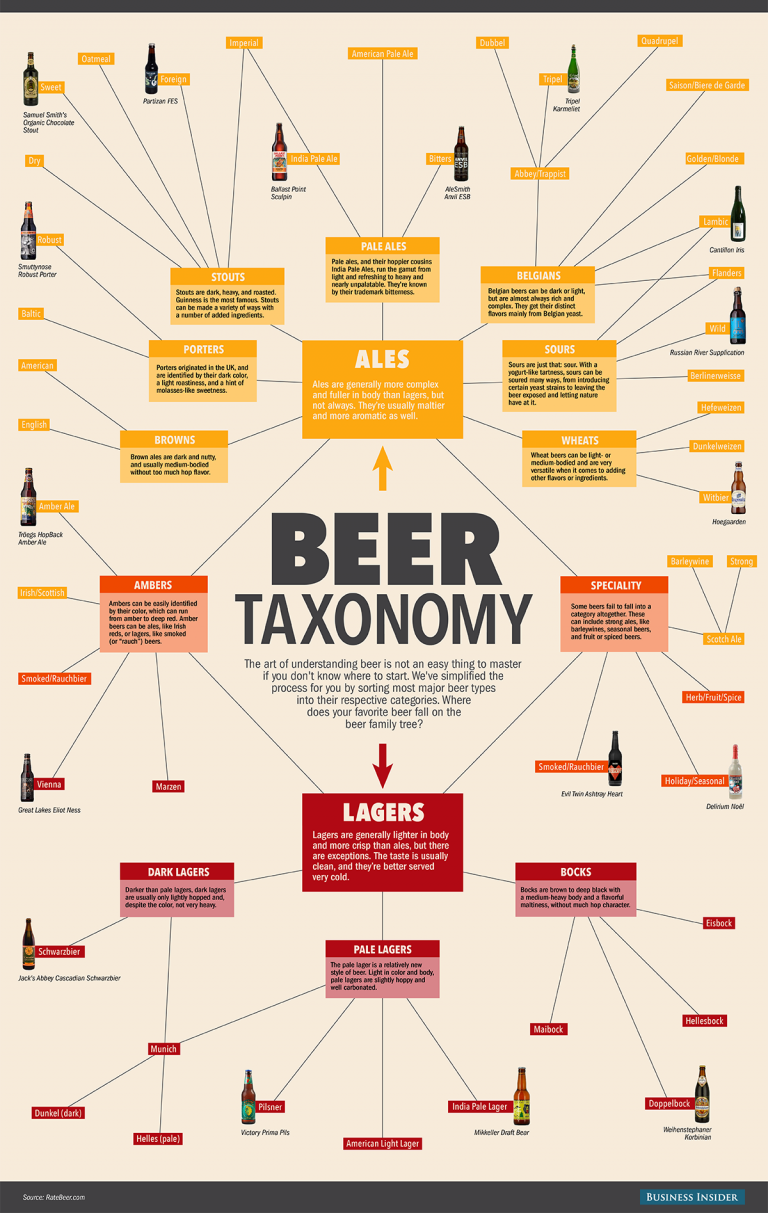 The Beer Taxonomy - MyConfinedSpace