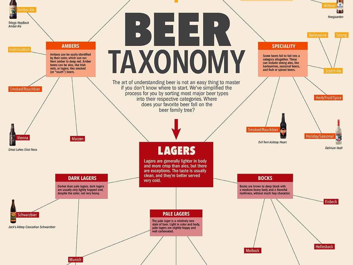 Beer Taxonomy Wallpaper - MyConfinedSpace