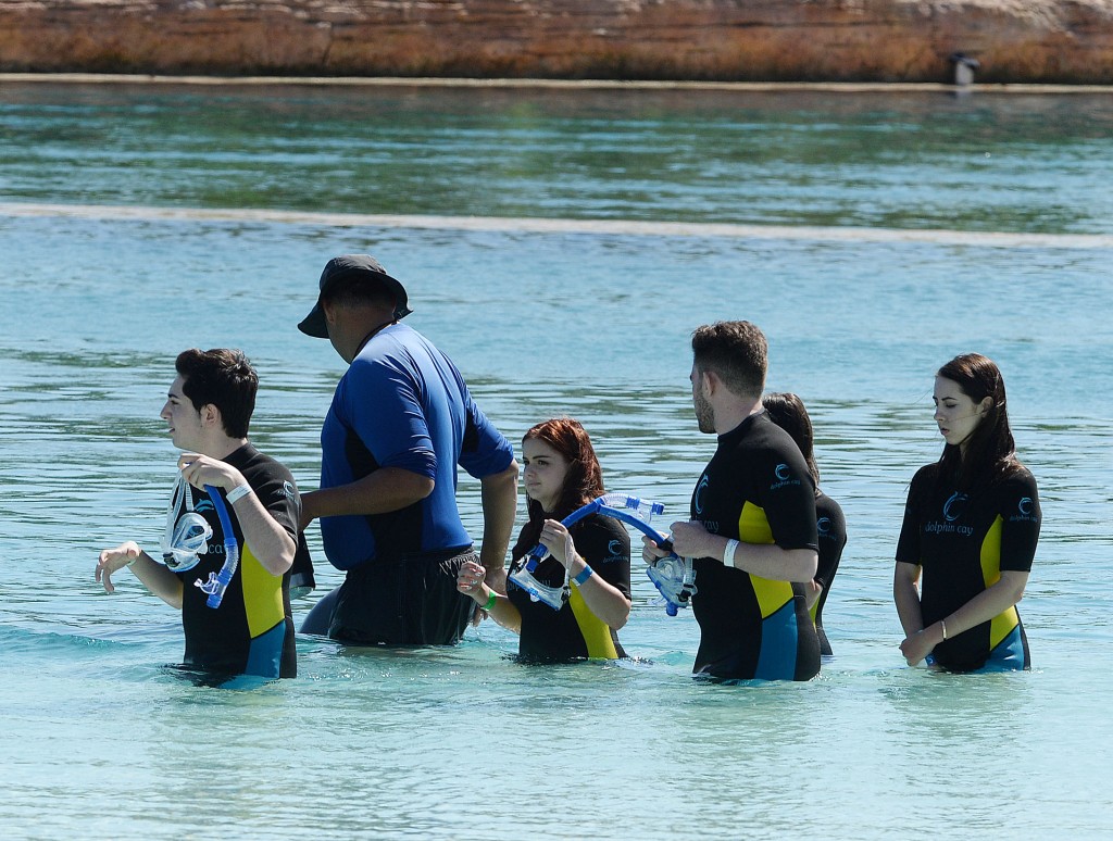 Ariel Winter in the Bahamas - High Resolution - MyConfinedSpace