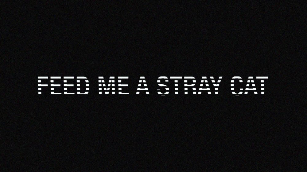 Feed Me A Stray Cat - MyConfinedSpace