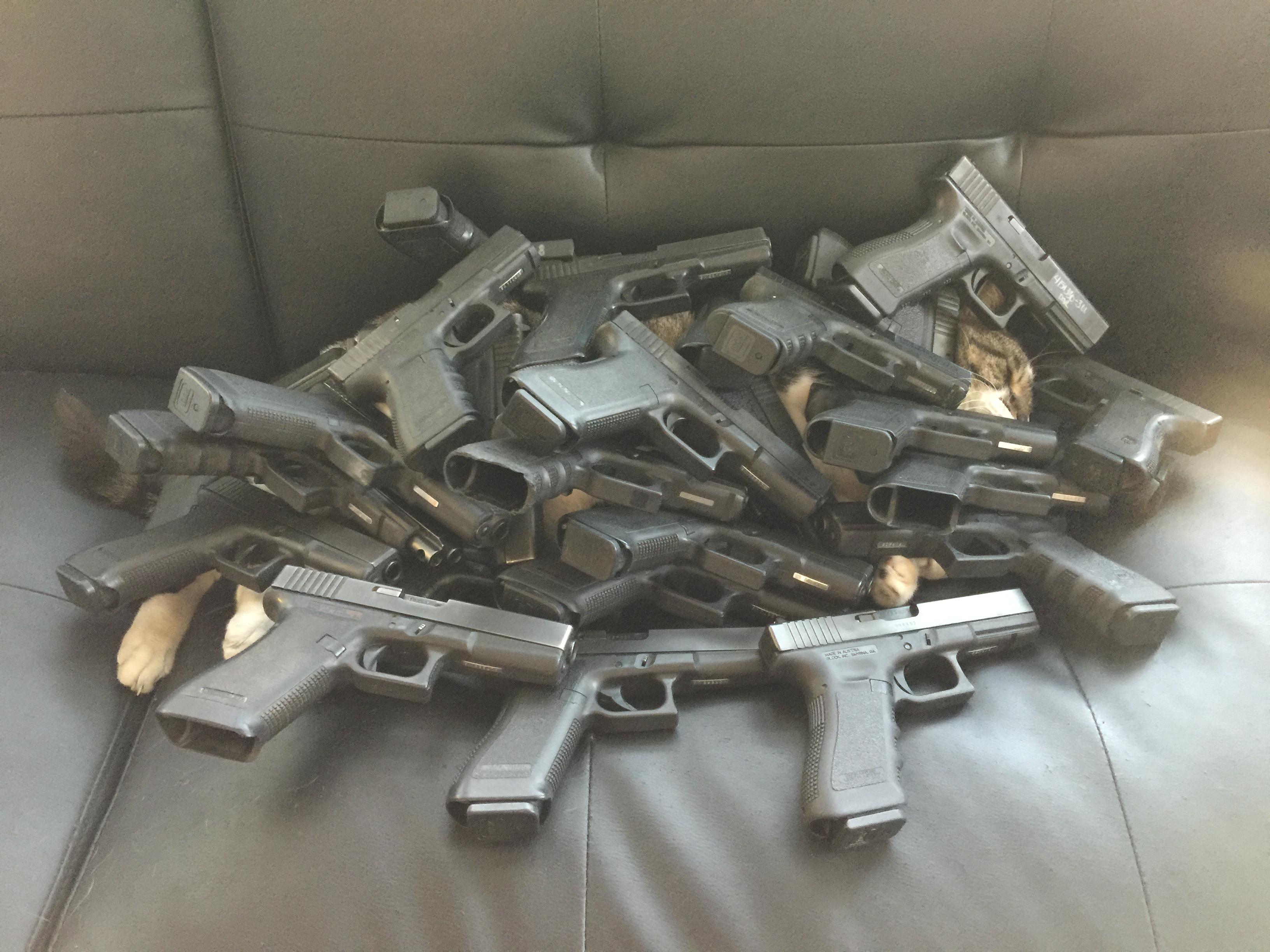 gun covered kitty - MyConfinedSpace