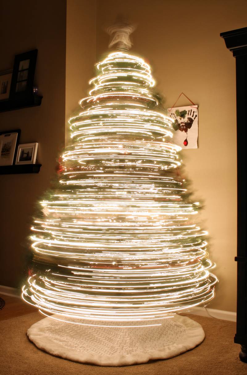 Spinny Tree - MyConfinedSpace