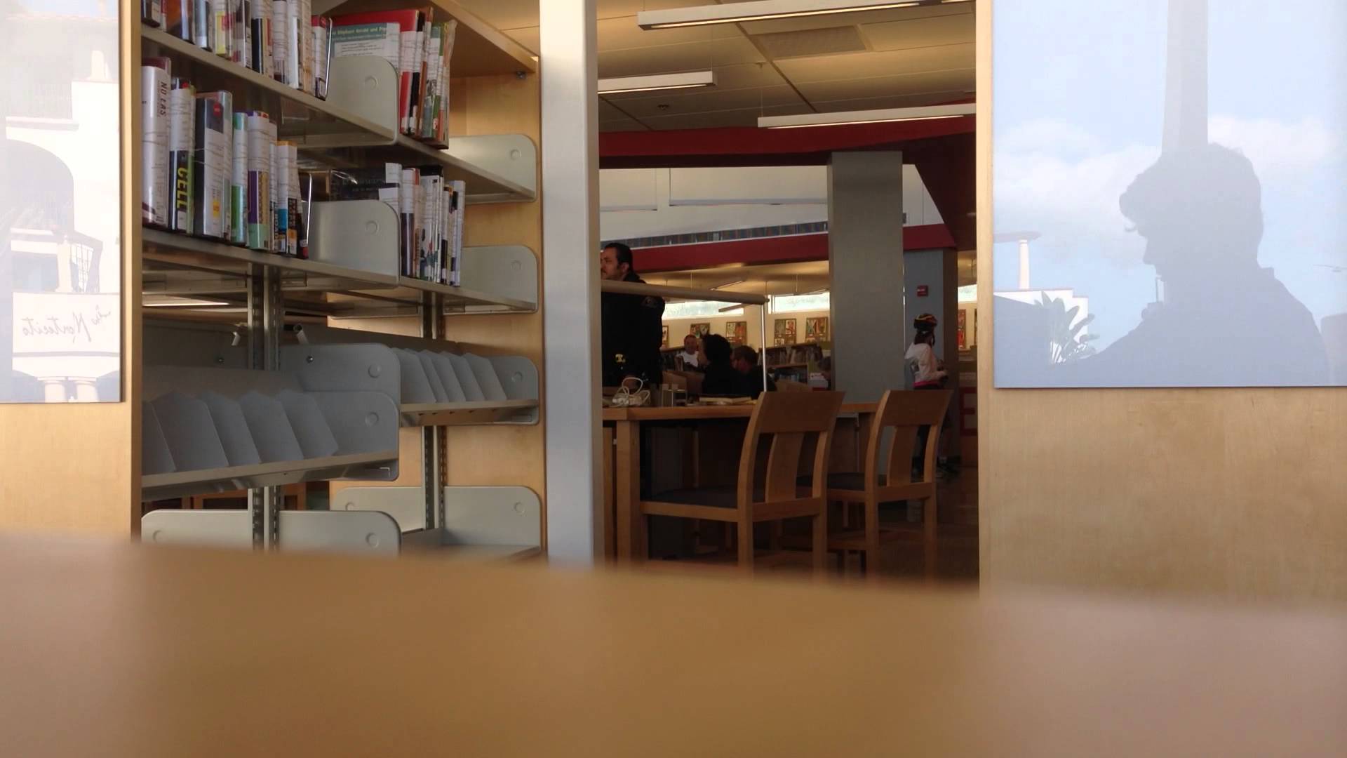 Crazy Woman in Hermosa Beach Library, arrest - MyConfinedSpace
